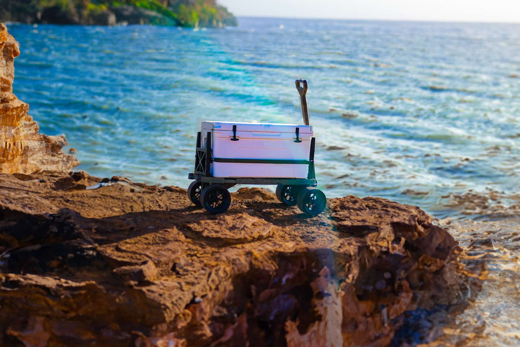 Heavy Duty Wagon | Beach Carts For Sand | Mighty Max Cart – Mighty Max ...