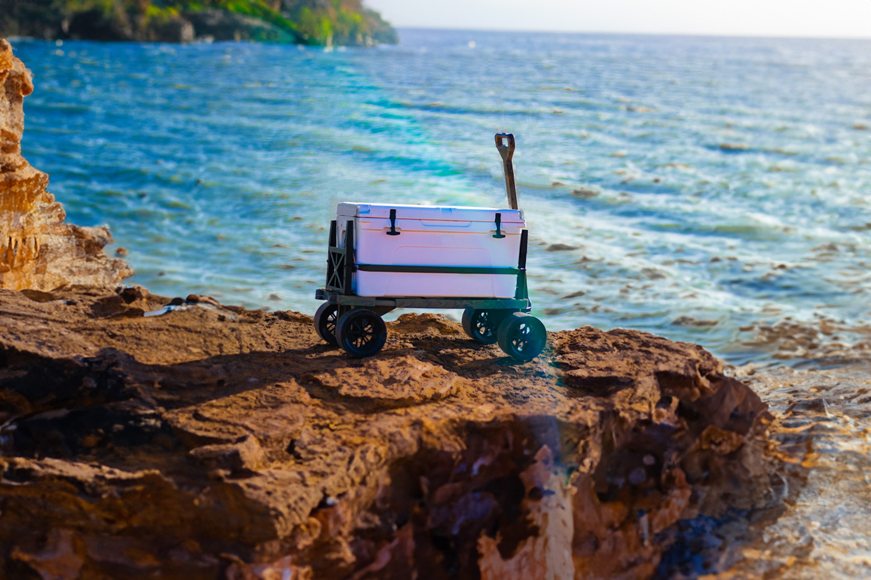 Mighty Max Cart American Made Yard Carts/Wagon/Beach Carts – Mighty Max ...