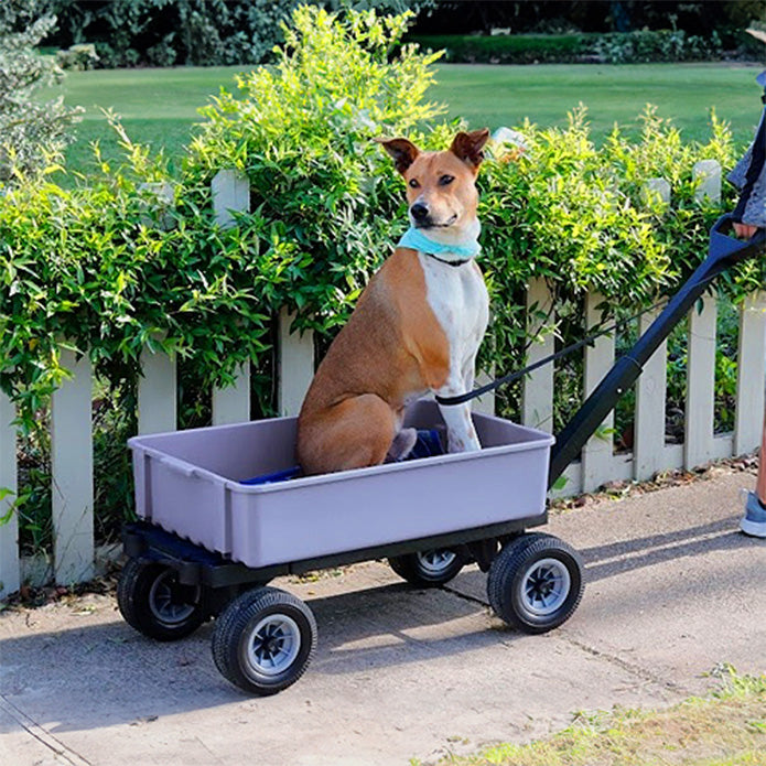 MMC® Black Poly Dump Tub – Mighty Max Carts - USA Outdoor Recreational ...